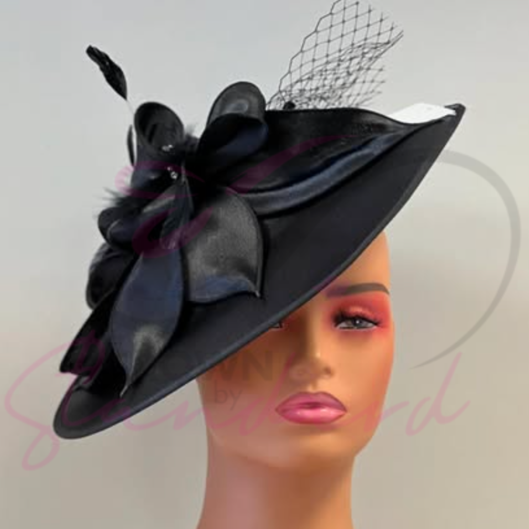 Black fascinator with netting and feathers! – Crown By Standard